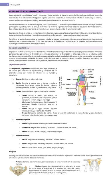 morfo 1 | Lucia perelli | uDocz