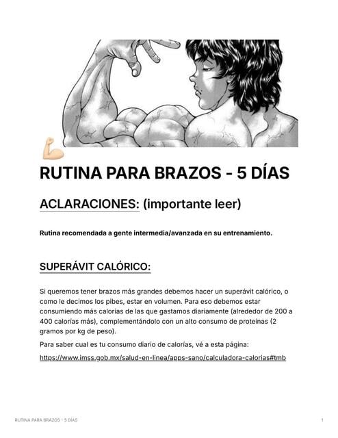 RUTINA PARA BRAZOS 5 DÍAS | Jostyn | uDocz