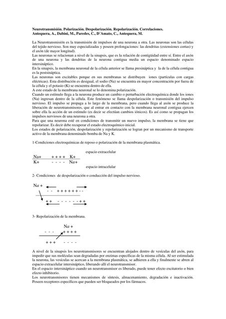 neurotransmision | Maria Quispe Ore | uDocz