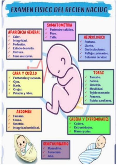 test para neonatos | Leonel Jimenez | uDocz