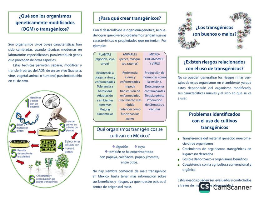 FOGM | Fabiola | uDocz