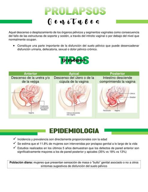 Prolapsos genitales | Ana María Carreño Vásquez | uDocz