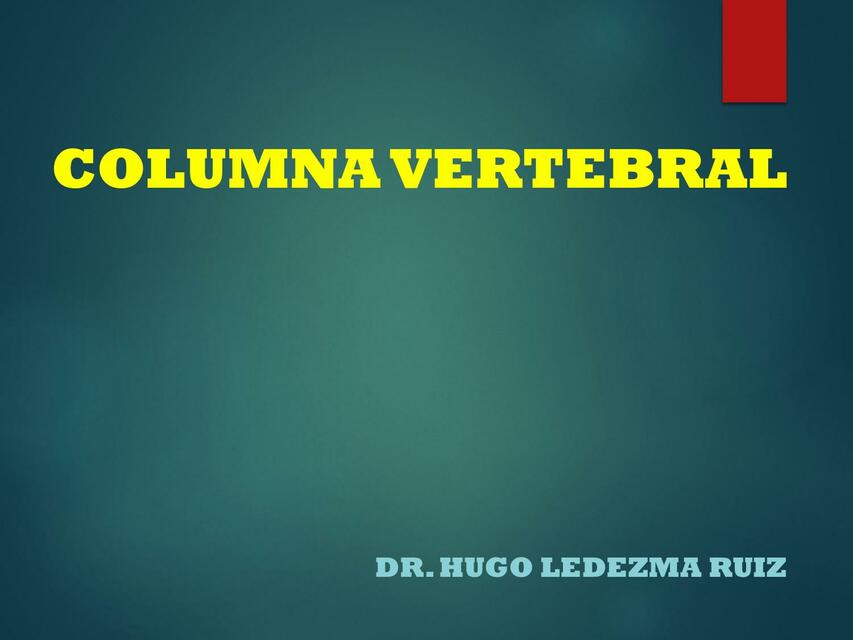 COLUMNA I PARTE | Romi | uDocz