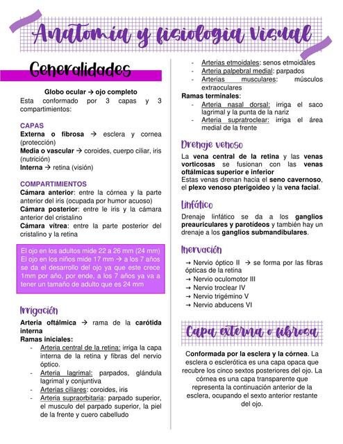 Anatomía y fisiología visual | Ana María Carreño Vásquez | uDocz