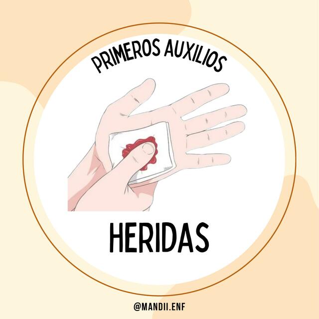 Heridas | AMANDA SOFIA | uDocz
