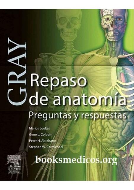 Flashcards de ANATOMIA TORAX | Por Marcos Felipe | uDocz