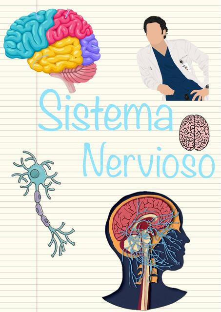 Anatomía | Daniel | uDocz