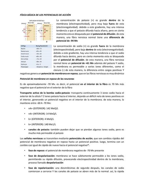 FÍSICA BÁSICA DE LOS POTENCIALES DE ACCIÓN | Magali Gutiérrez Aguilar ...