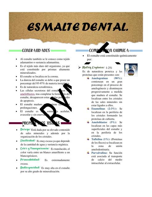 ESMALTE DENTAL | Kary Cruz | uDocz