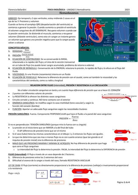 FISICA BIOLOGICA UNIDAD 5 Hemodinamia | Florencia Ballardini | uDocz