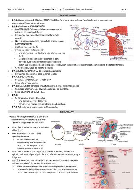 EMBRIO Clase 2 | Florencia Ballardini | uDocz