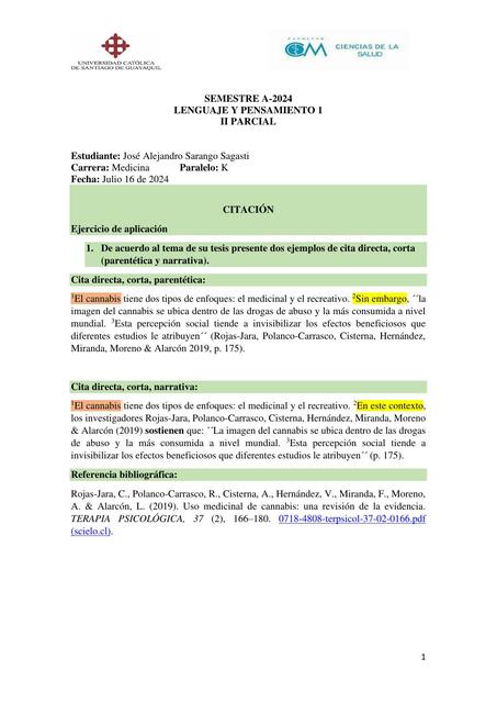 CITACIÓN Ejercicio de aplicación | Sofia | uDocz