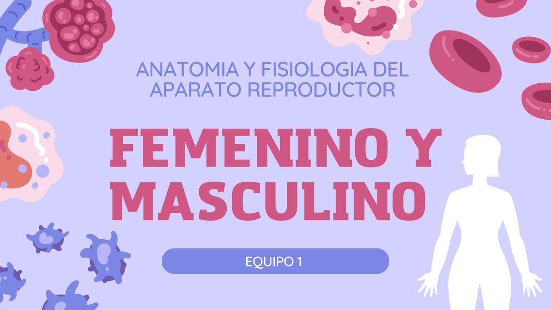 Presentación Embrio U2 | Dear | uDocz