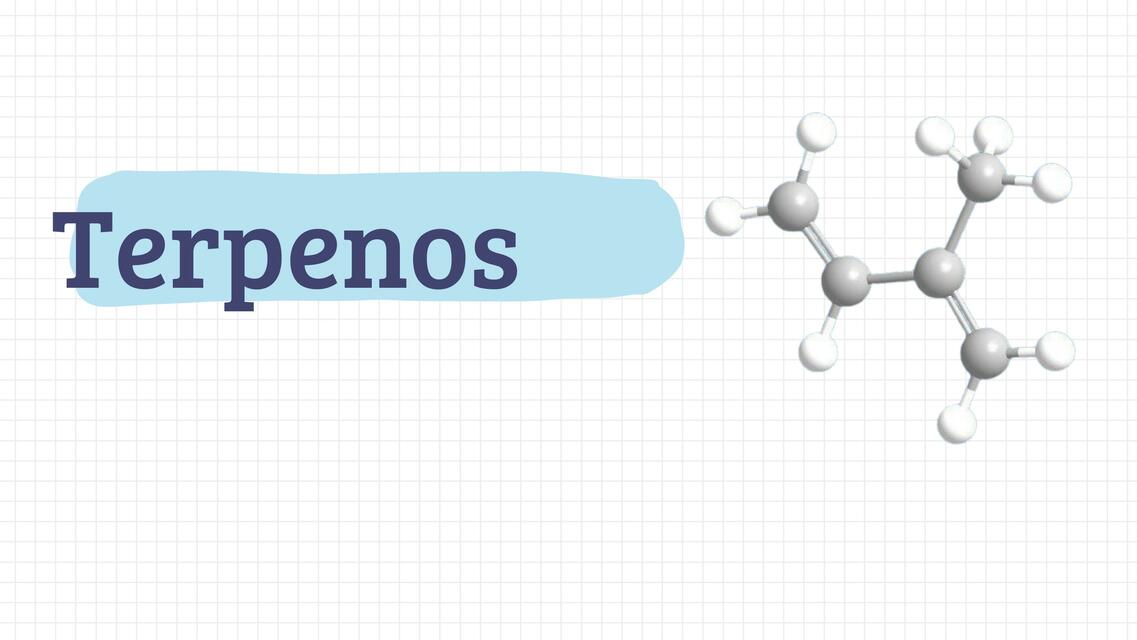 Terpenos Emireth Abril Udocz