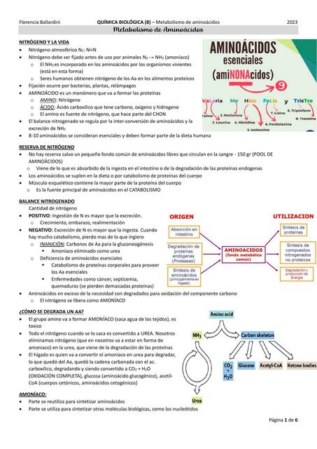 QCA BIOLGICA Clase 8 Metabolismo de Proteinas | Florencia Ballardini | uDocz