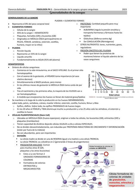 1 CLASE Sangre Grupos sanguineos y TP grupos sangu | Florencia Ballardini | uDocz