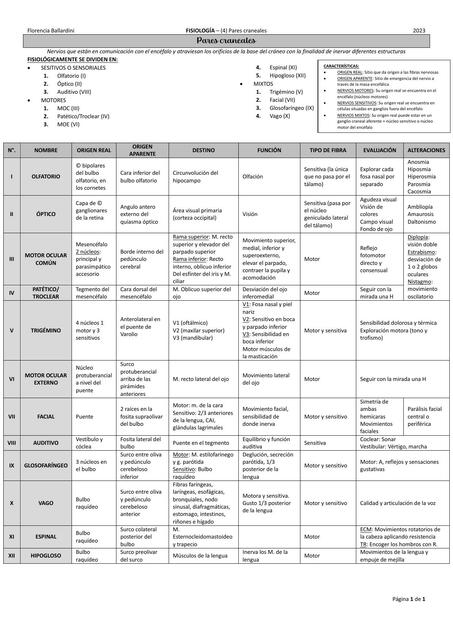 FISIO Clase 4 Pares craneales | Florencia Ballardini | uDocz
