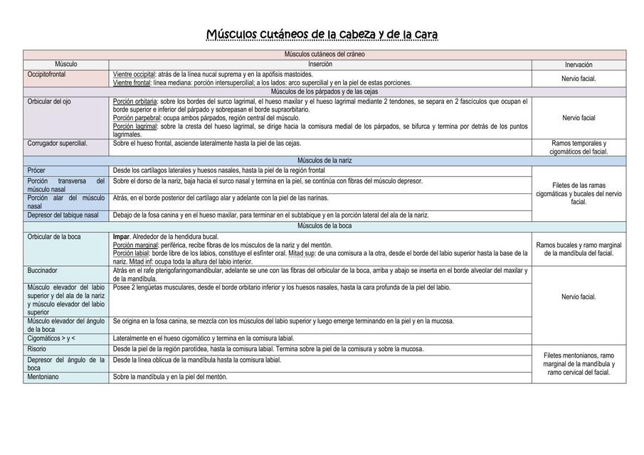 Anatomía 1 Músculos cutáneos de la cabeza y de la | Florencia ...
