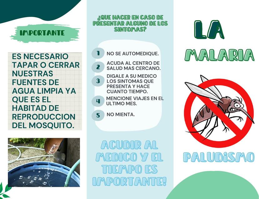 triptico malaria | carolina | uDocz