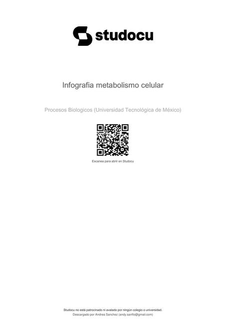infografia metabolismo celular | Andrea | uDocz