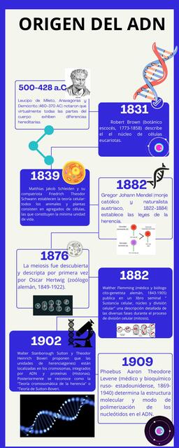Linea del tiempo del ADN | kassidy | uDocz