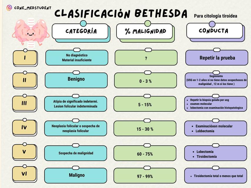 Clasificación de Bethesda | Natalia Bernabe | uDocz