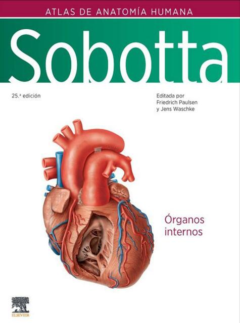Sobotta Atlas de Anatomía Humana Tomo 2 25 ed | LUIS SANCHEZ | uDocz