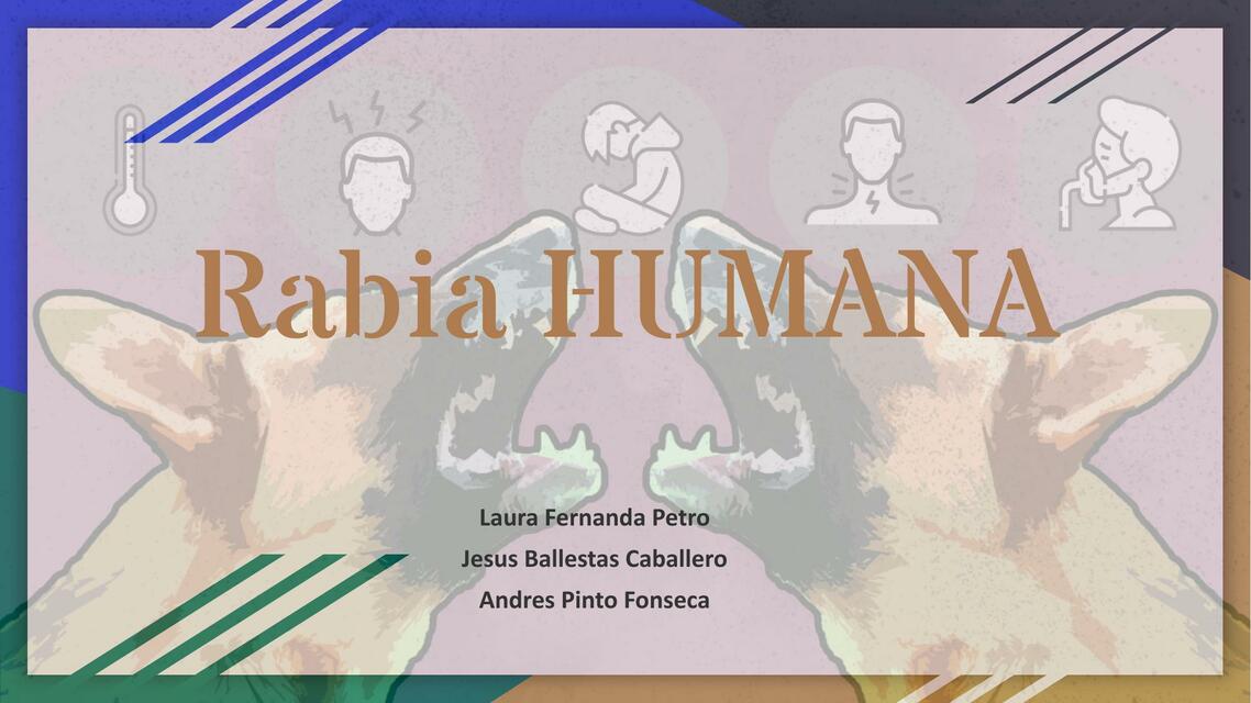 EXPO RABIA pptx | ANDRES FELIPE | uDocz