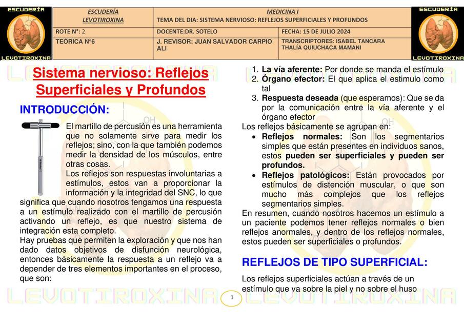 LEVO M R4 T6 | Mariana Guzmán Lucuy | uDocz