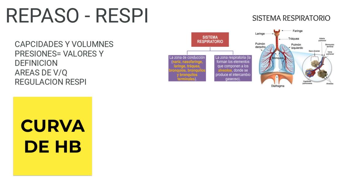 REPASO FISIO | Luciana Echazu | uDocz