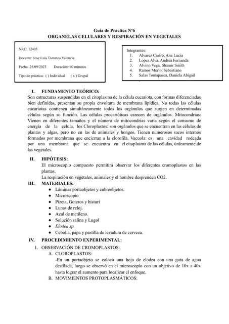 INFORME 06 | ANDREA FERNANDA | uDocz