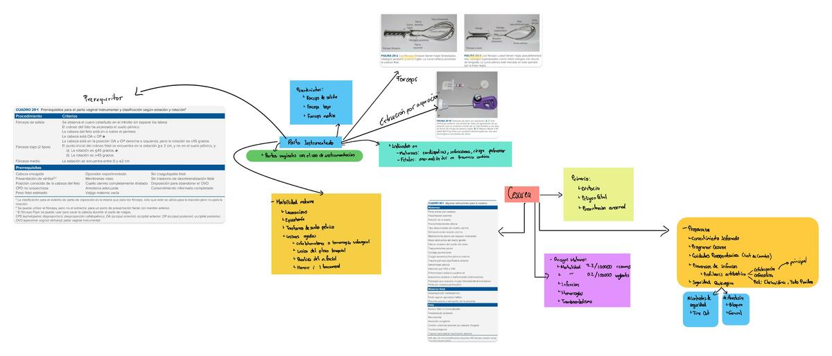 Parto instrumentado y cesárea | Gabriela Gómez | uDocz