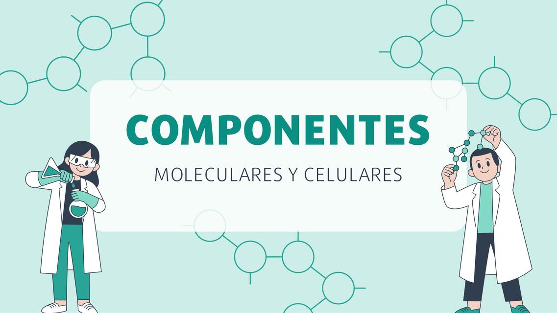 Componentes moleculares y celulares | Valeria Rojas | uDocz