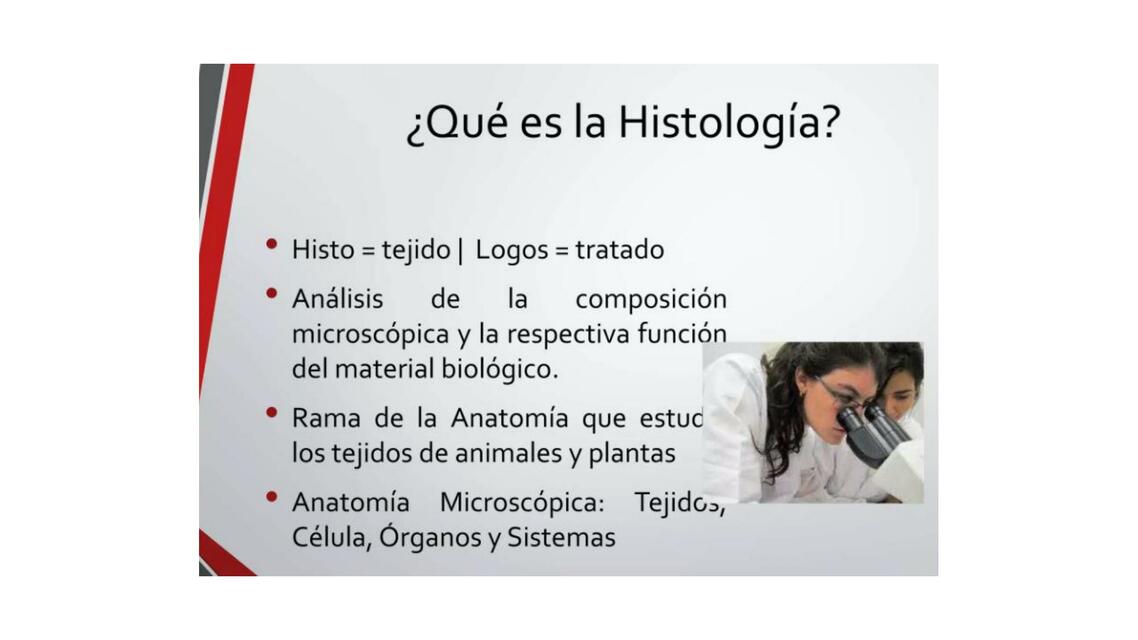 respaldo histo 1 | Johana | uDocz