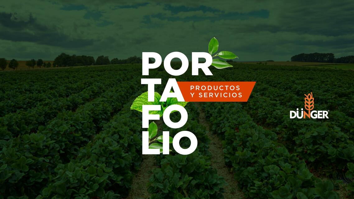 Portafolio DUNGUER | Andres Mina | uDocz