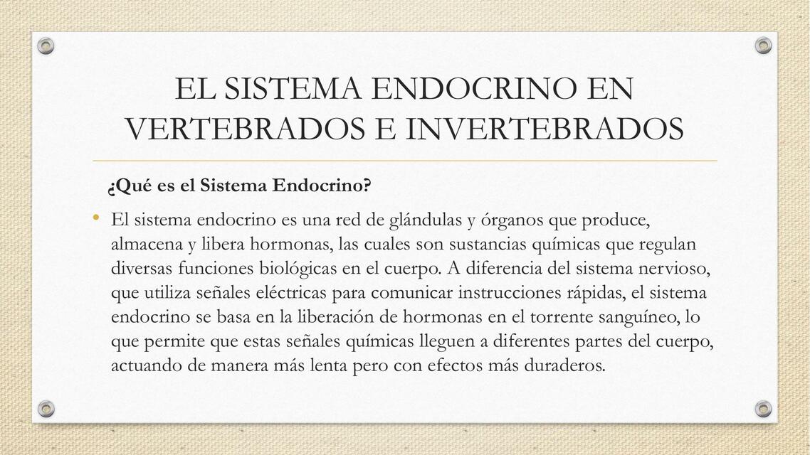 EL SISTEMA ENDOCRINO EN VERTEBRADOS E INVERTEBRADO | JOSE DANTE ...
