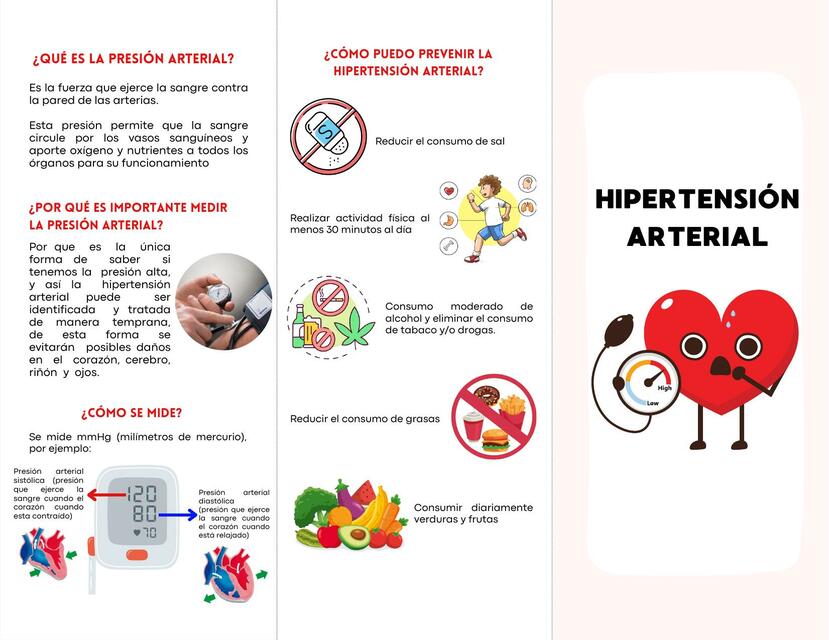 HTA TRIPTICO | Javiera | uDocz