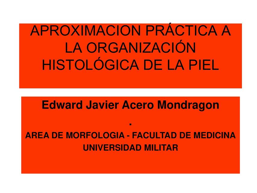 PRACTICA HISTOLOGÍA PIEL | Pediatria | uDocz