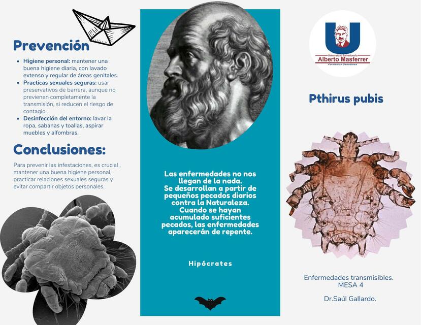 Broshure Pthirus pubis | Kenaki | uDocz