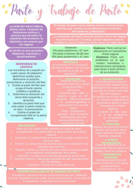 Parto, maniobras de Leopold, puerperio y periodo perinatal | Garrido ...