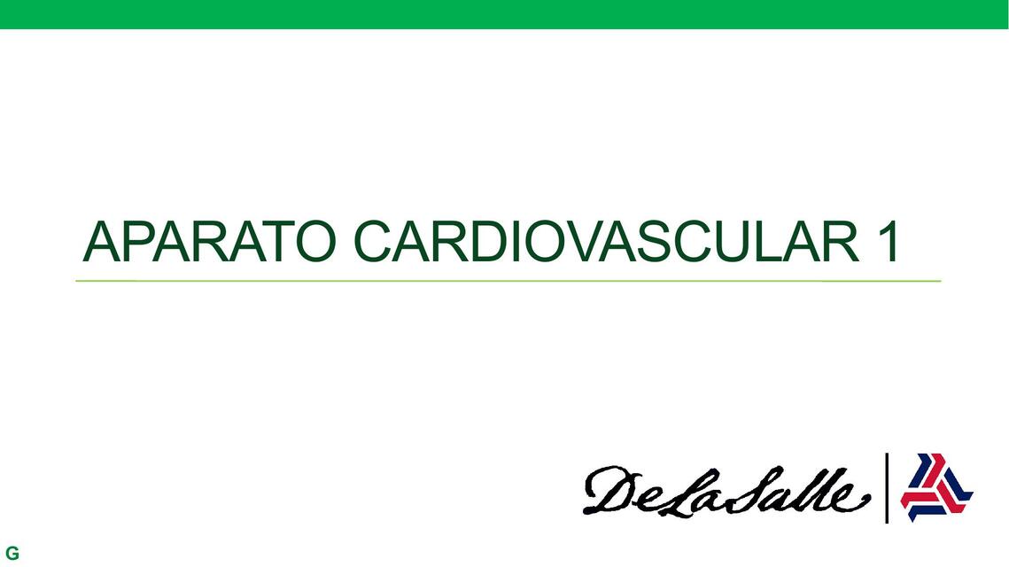 Cardio 1 anatofisio | lucia | uDocz