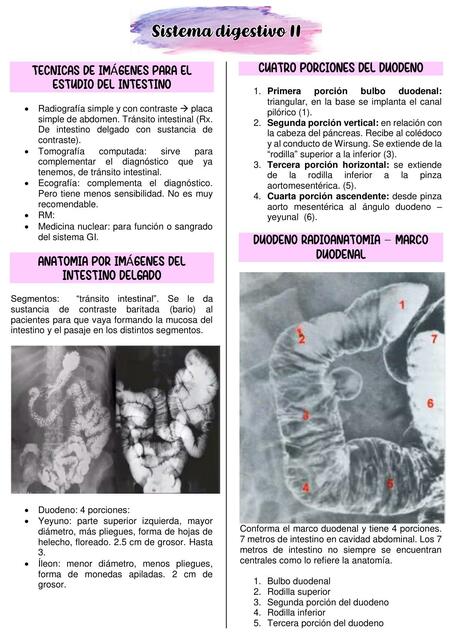 RADIOLOGÍA DEL SISTEMA DIGESTIVO - PARTE 2 | Natalie Cárdenas Rivera ...