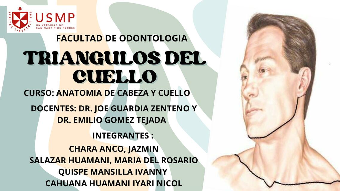 MUSCULOS DEL CUELLO Y TRIANGULOS | Jazmin Chara | uDocz