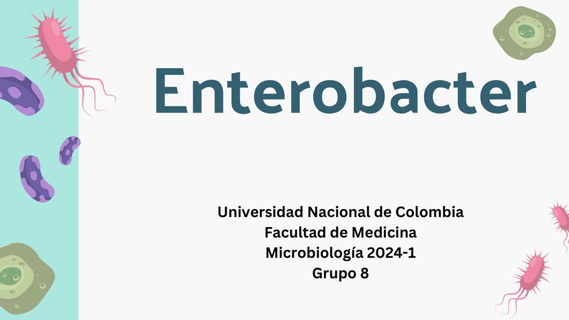Bacterias Enterobacter | Jessenia | uDocz
