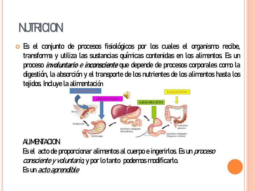 Conceptos basicos de NUTRICION y ALIMENTACION | Jimenna | uDocz