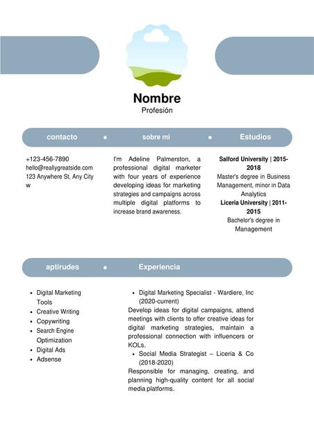 plantilla 1 | ANGEL ANIBAL QUIROZ PALOMINO | uDocz