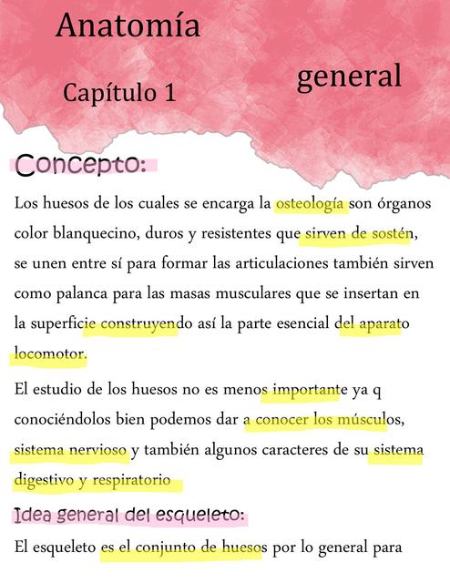 anatomia general cap 1 | Fer Muñoz Torres | uDocz
