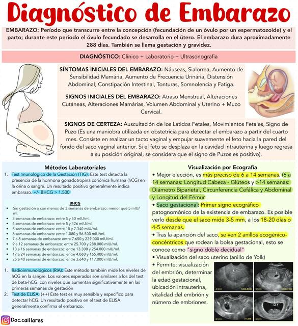 DIAGNÓSTICO DE EMBARAZO | Dr. Boris Moises Caillares Montaño | uDocz