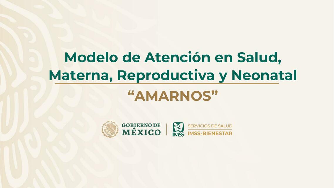 Modelo de Atención Materna Neonatal 20 08 24 | Soni | uDocz