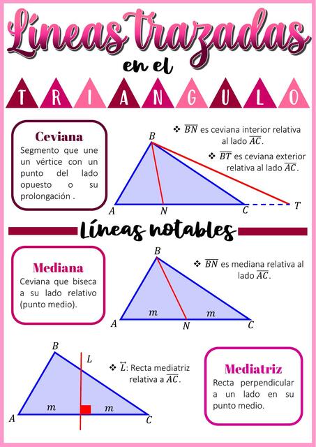 LINEAS EN EL TRIANGULO | medicine_study_2024 | uDocz